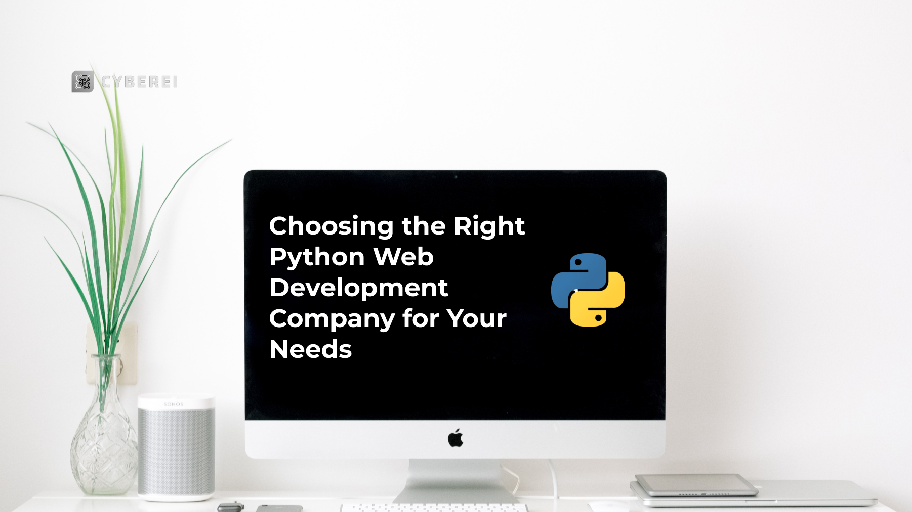 Python Web Development Company in India